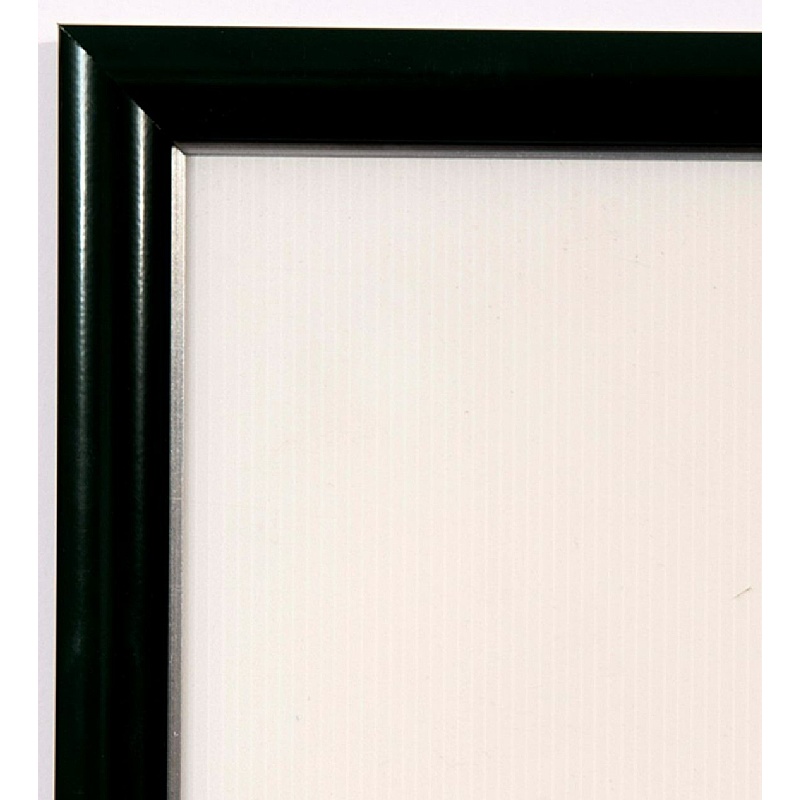 ColourPlus Poster Display Frames from our Noticeboards range.