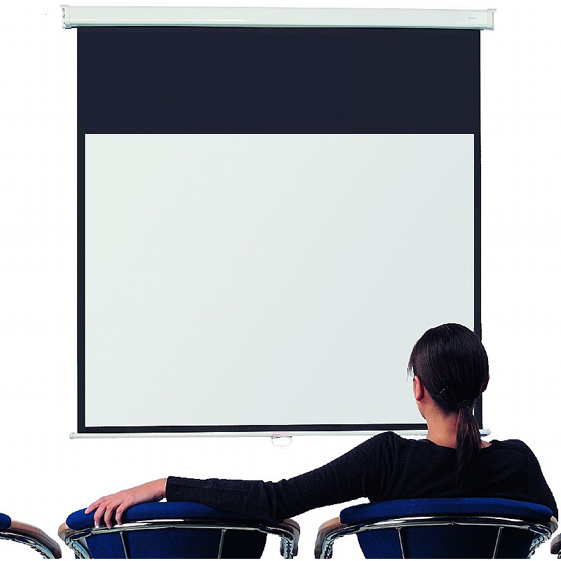 Eyeline Presenter Wall Projector Screens from our Projector Screens range.