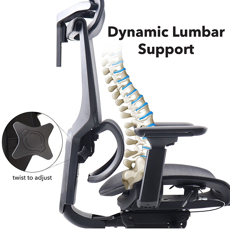 Elise Ergonomic Mesh Office Chair from our Ergonomic Office Chairs range.