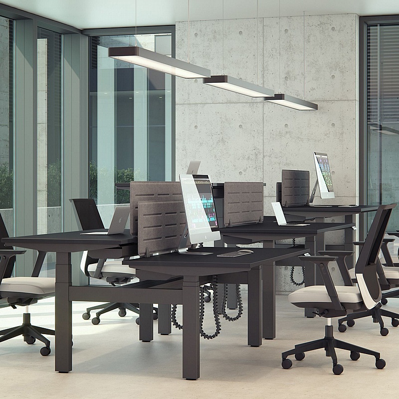 Progress Plus Electric Height Adjustable 2 Person Shallow Rectangular ...