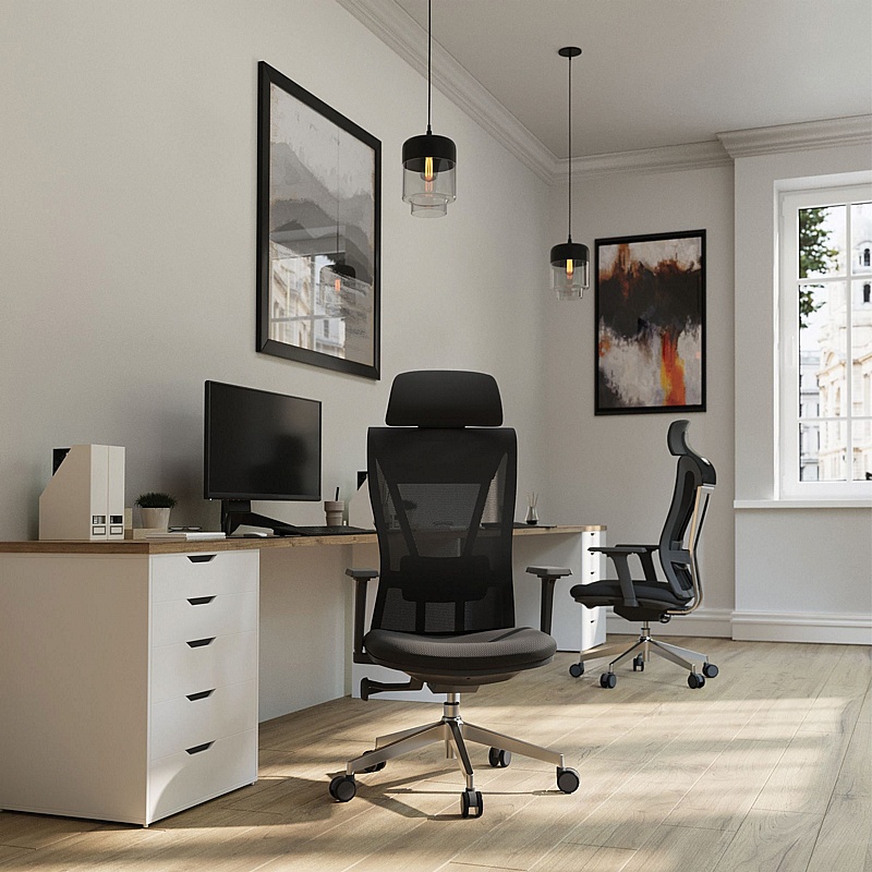 Moritz Eco-Friendly 24 Hour Ergonomic Mesh Office Chair from our Mesh ...