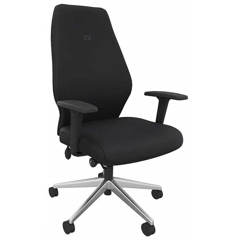 Solo High Back Ergonomic Posture Task Chairs from our Ergonomic Office ...