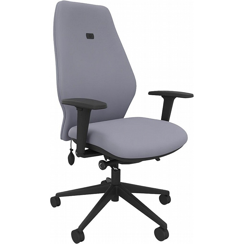 Solo Petite High Back Ergonomic Posture Task Chairs from our Ergonomic ...